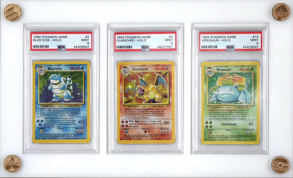 The Ultimate Guide to Storing, Handling, and Displaying Your Pokémon ...