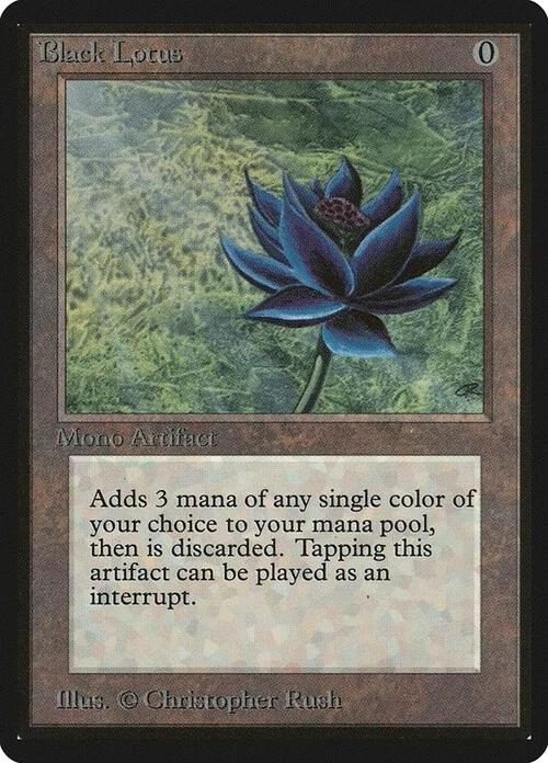 How to Grade Your Magic: The Gathering Cards - The Card Collective